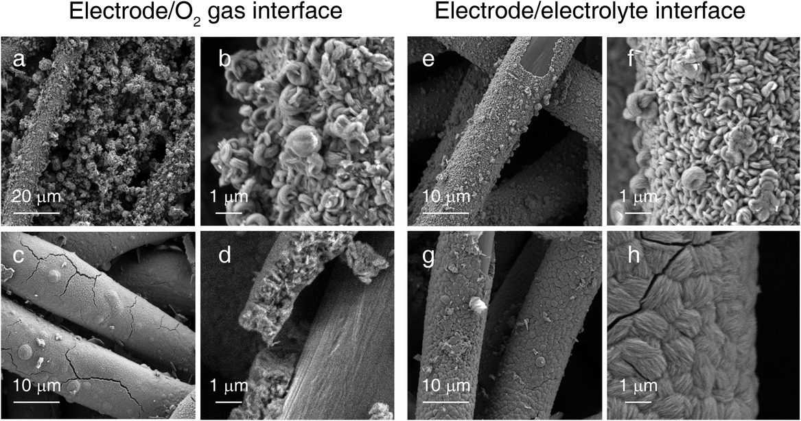 Enhanced Li-O2 Battery Performance | Department of Materials