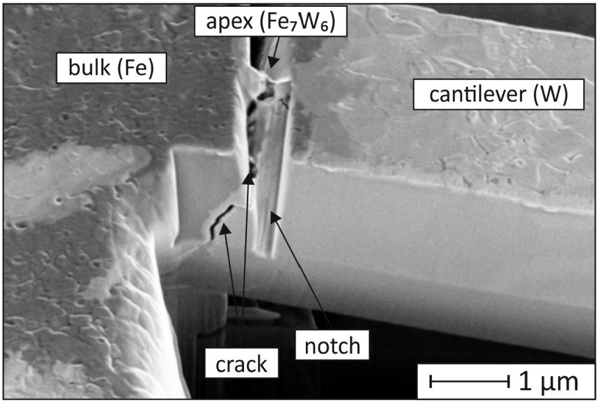 Refractory Metal - Steel Diffusion Bonds for Nuclear Fusion ...
