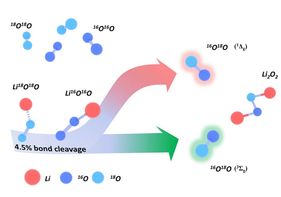 Singlet oxygen and dioxygen bond cleavage in the aprotic lithium-oxygen ...