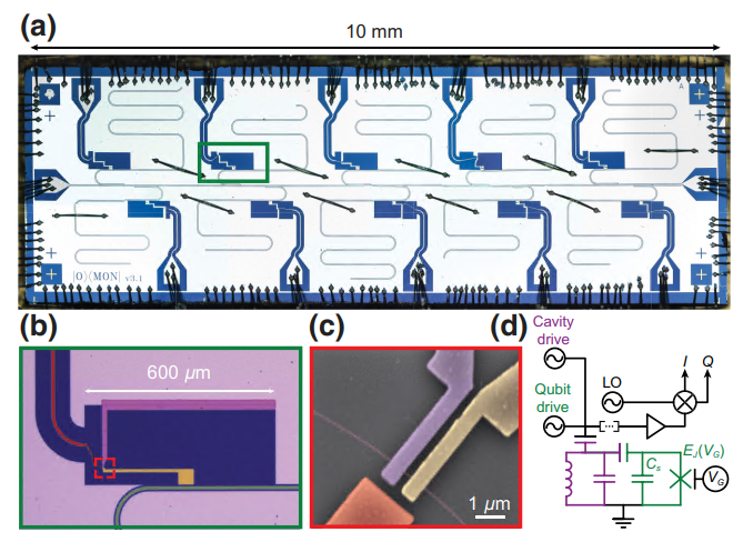 Circuit quantum electrodynamics with carbon-nanotube-based ...