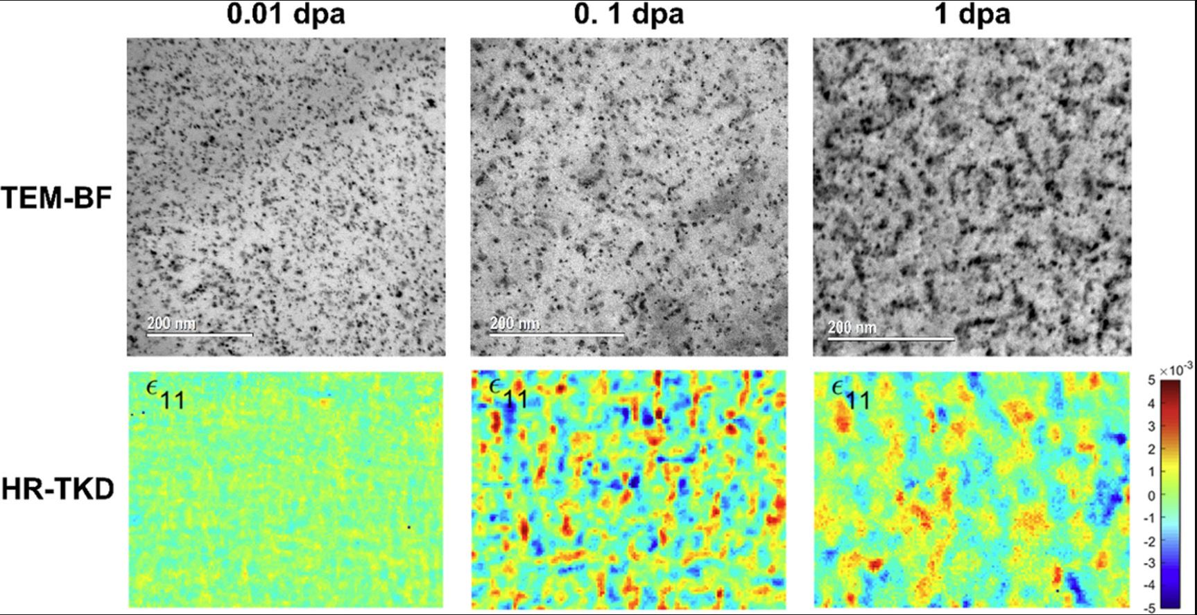 Elastic Strain Associated With Irradiation Induced Defects In Self Ion