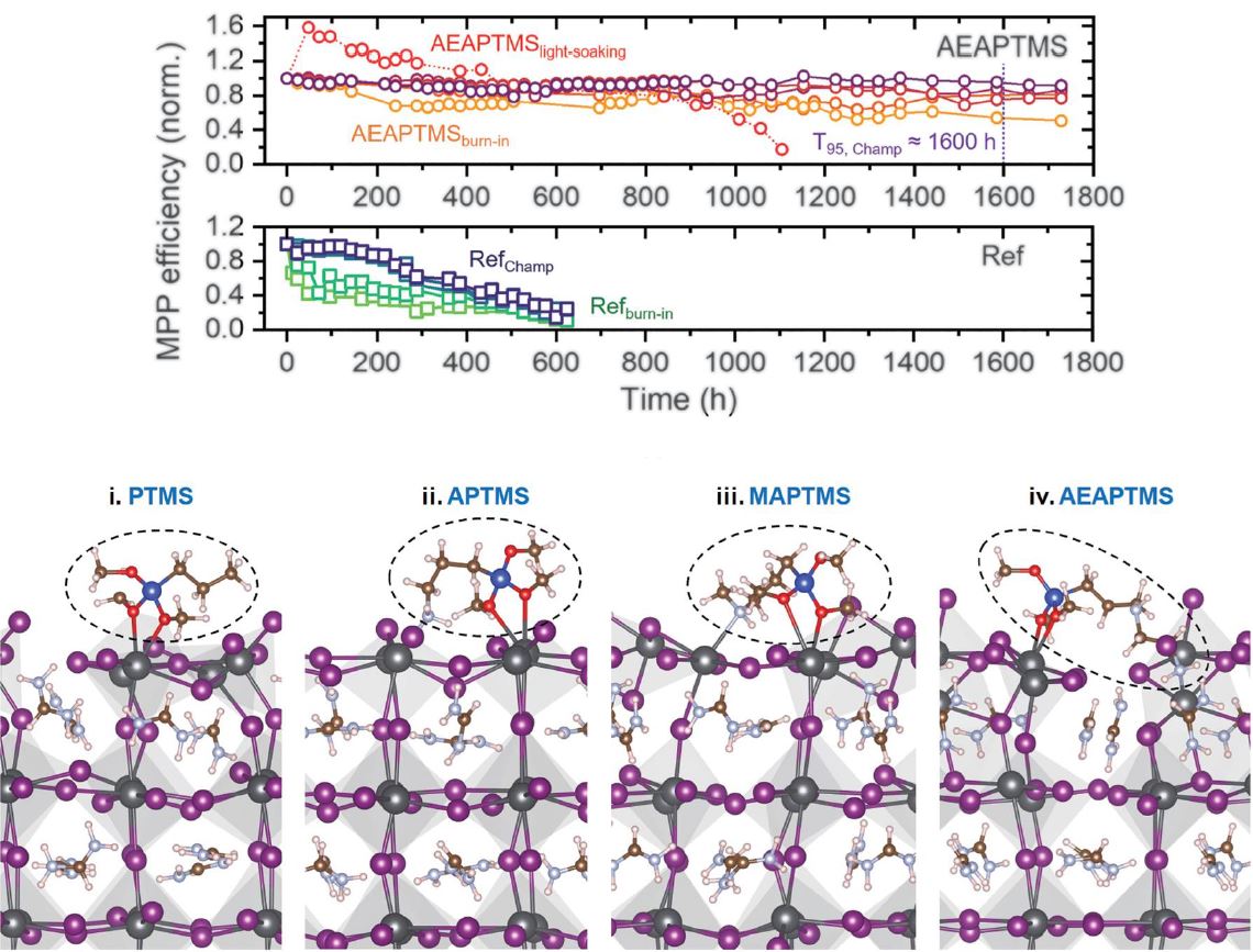 Bandgap-universal passivation enables stable perovskite solar cells ...