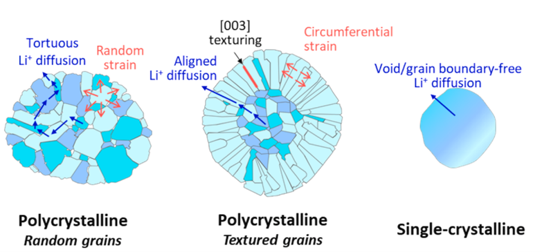 Empowering next generation batteries via microstructural design of the ... Empowering next generation batteries via microstructural design of the ...
