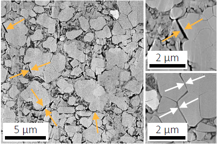 High Energy Density Single Crystal NMC/Li6PS5CI Cathodes for All-Solid ...