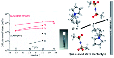 A new approach to very high lithium salt content quasi-solid state ...