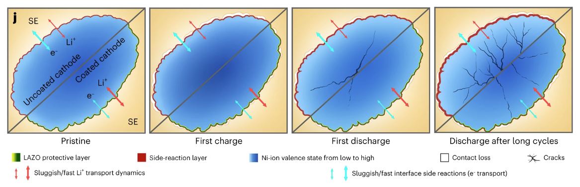 High-energy all-solid-state lithium batteries enabled by Co-free LiNiO2 ...