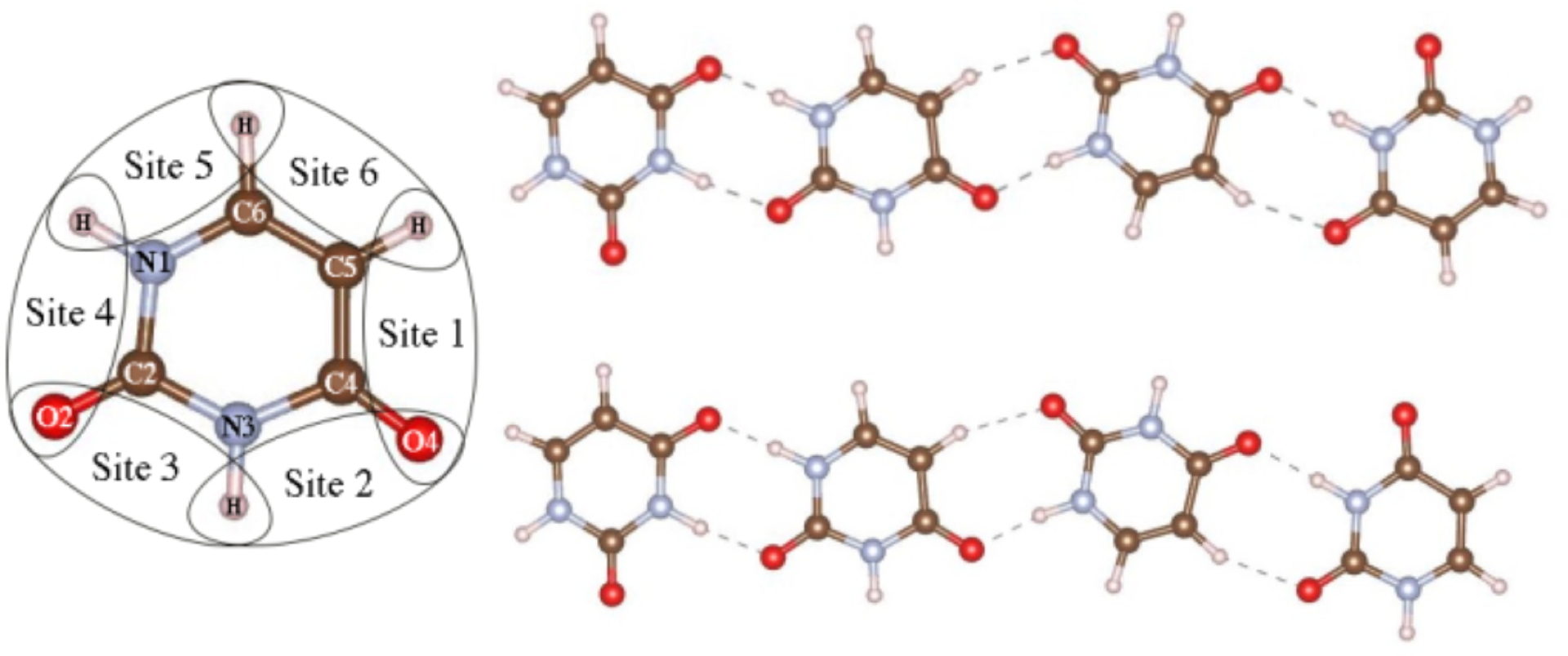 Molecular imaging and theoretical modelling of 2D nucleotide base ...