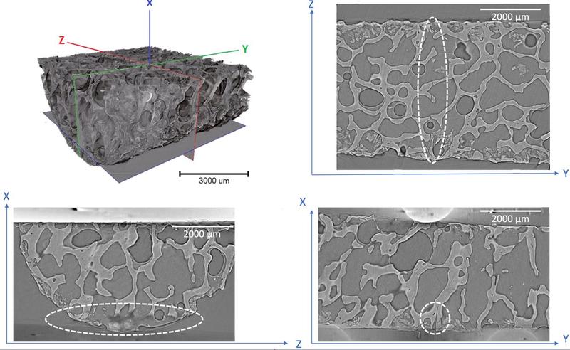 A method for fracture toughness measurement in trabecular bone using computed tomography, image ...