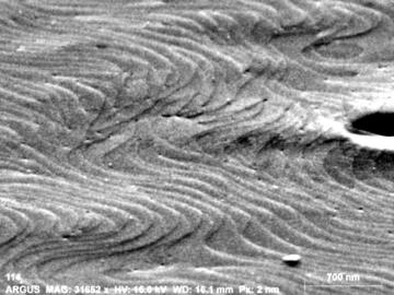 Advanced Diffraction Analysis in the SEM (EBSD and ECCI) | Department ...