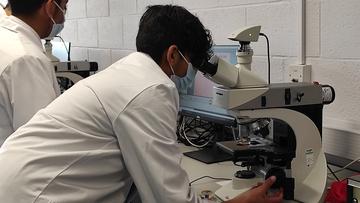 Workshops for Schools | Department of Materials